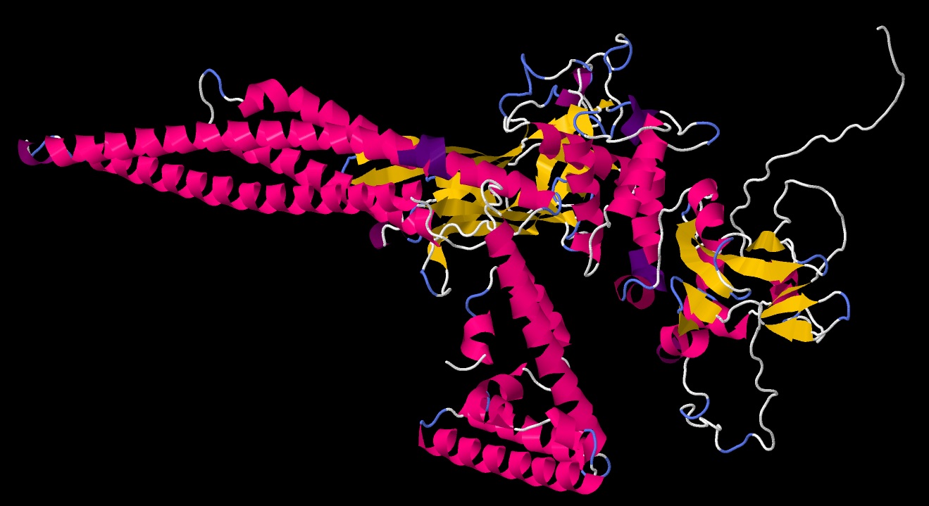 Human STAT3 Protein – MolStruc
