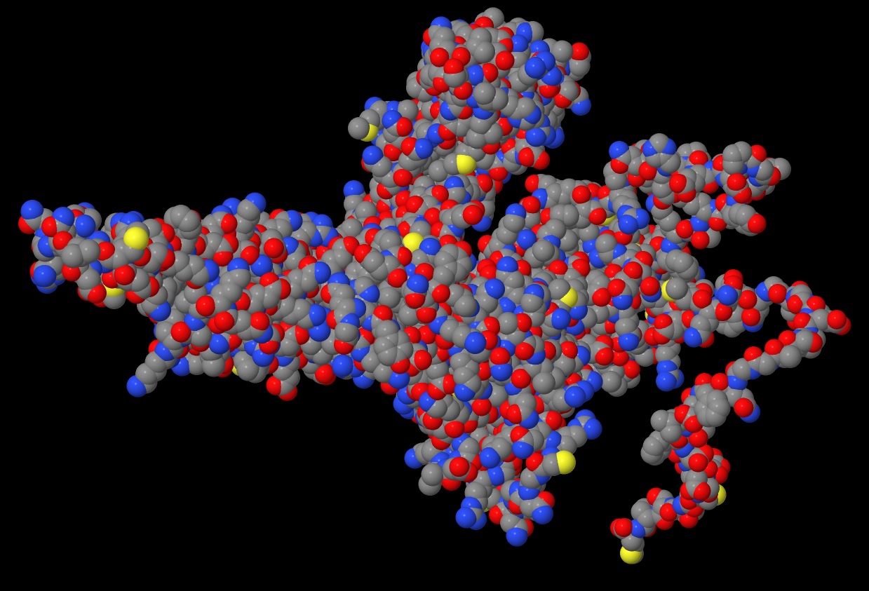 Human STAT3 Protein – MolStruc