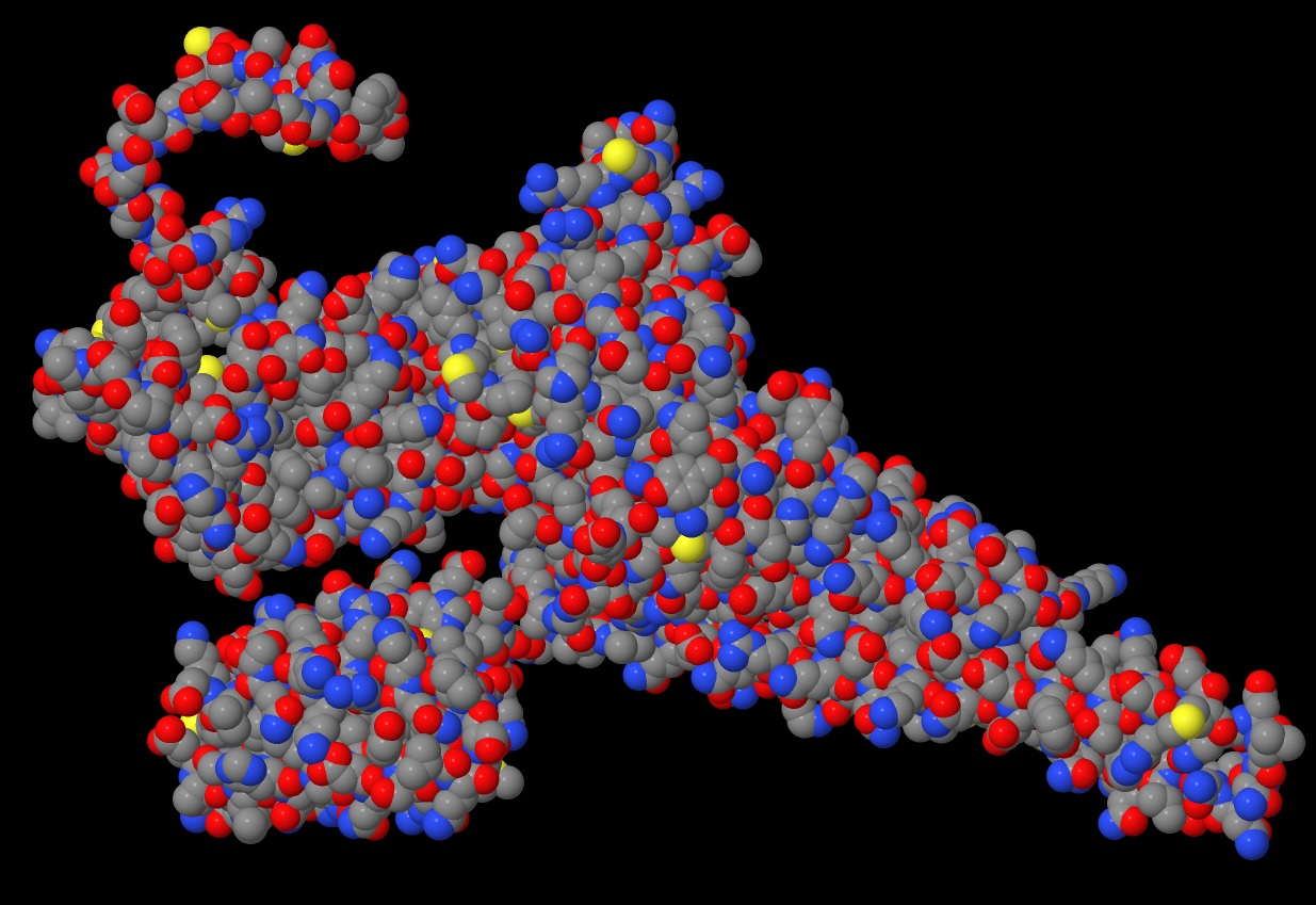 Human STAT3 Protein – MolStruc