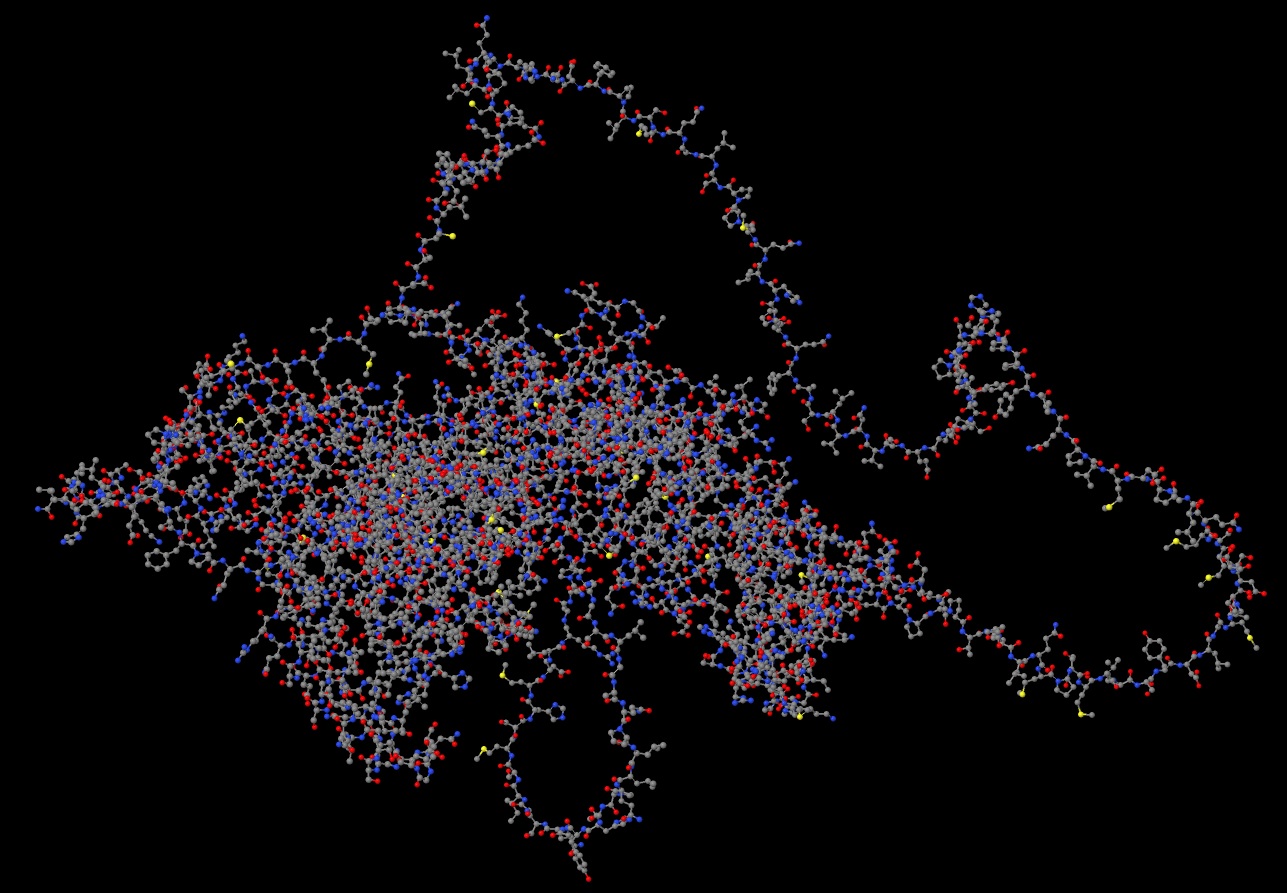 Human STAT6 Protein – MolStruc