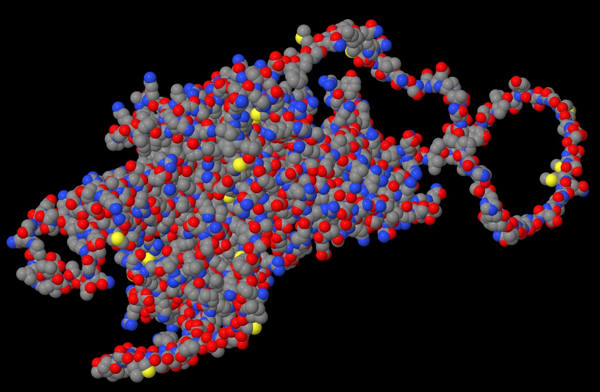 Human STAT6 Protein – MolStruc