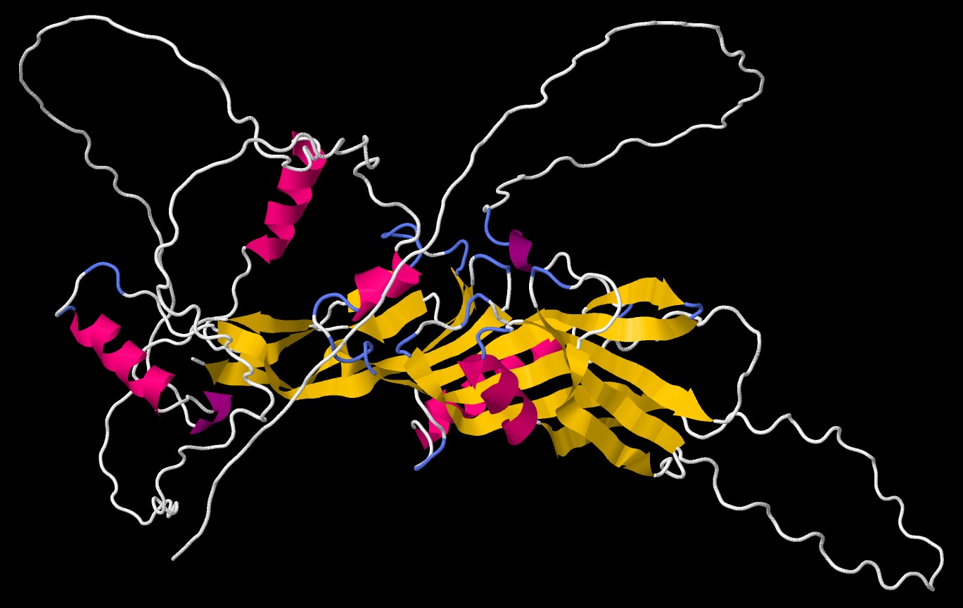 Human Growth Differentiation Factor 10 – MolStruc