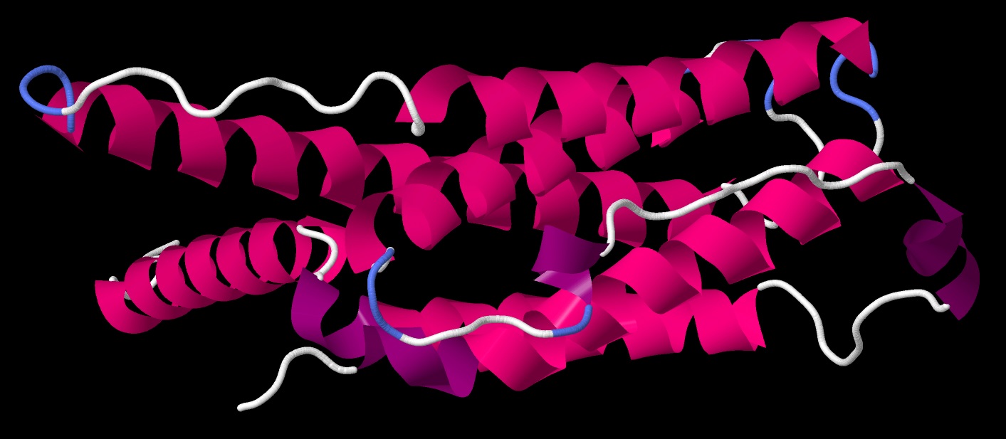 Human Interferon Kappa – MolStruc